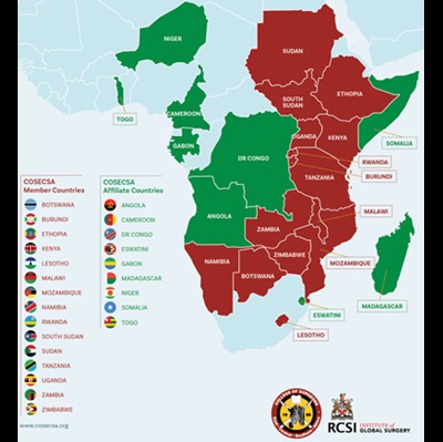 RCSI/COSECSA Collaboration Programme - Royal College of Surgeons in Ireland